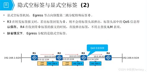 mpls（动态） ldp 原理与配置 抓包分析） mpls抓包 csdn博客