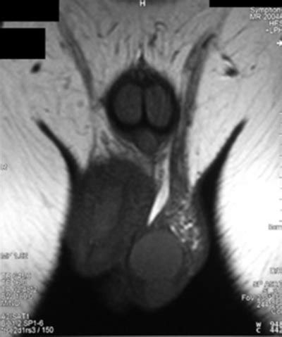 Internet Scientific Publications