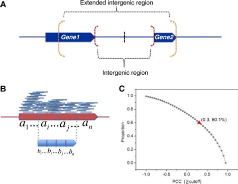 selection of known adjacent operon pairs for training and evaluation