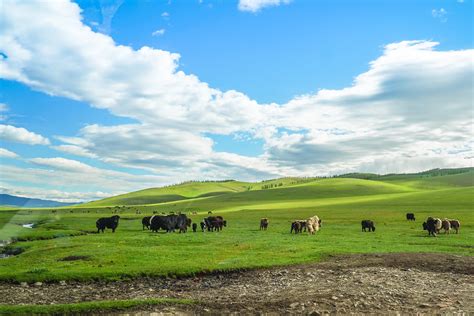 몽골 가기 전 필독 몽골 여행코스and꿀팁 총정리 네이버 블로그