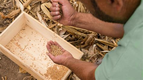 Regenerative Business Is Not A Trend — It S A Necessity Human