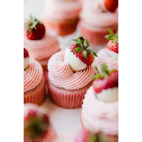 Duya 8b Blm 402 8800