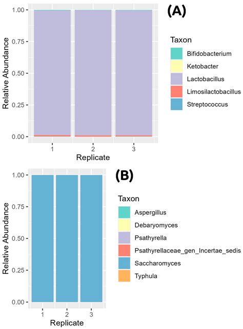 Investigating Yeastlactobacilli Interactions Through Co Culture Growth