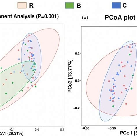 A Principal Component Analysis Diagram B Weighted Principal