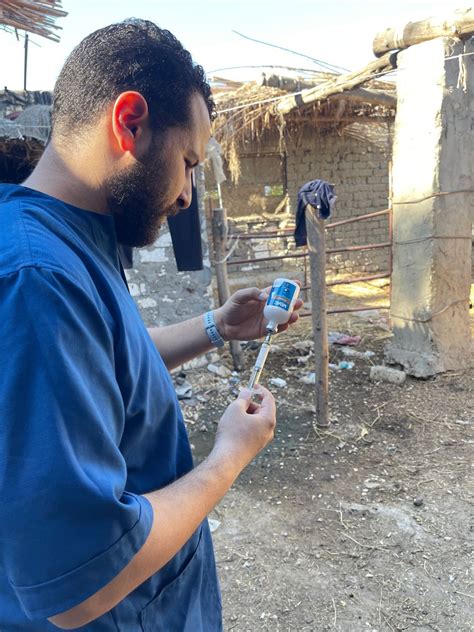 Ahmed Mahfouz On Linkedin Fmd Vaccination