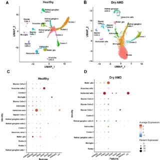 Single Cell UMAP Visualization Depicting The Cellular Landscape Of Download Scientific Diagram
