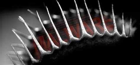 Hack Like A Pro Capturing Zero Day Exploits In The Wild With A Dionaea Honeypot Part 1 « Null