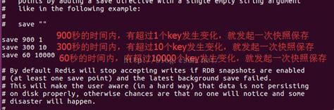 【redis缓存机制】9 快照持久化和aof持久化 redis内存快照是什么 csdn博客