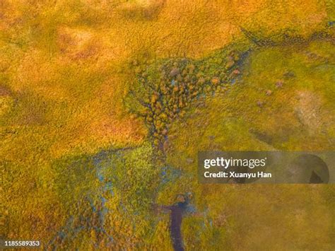 Grass Land Top View Photos And Premium High Res Pictures Getty Images