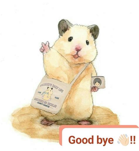 anshika agarwal on linkedin meri aakhri post yes this post will be my last post on