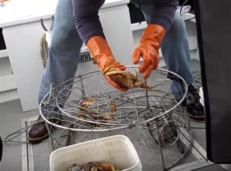 Puget Sound Crab Season Starts Friday