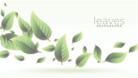 Leaf Animation Vector Art Icons And Graphics For Free Download