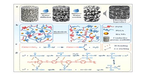 Conductive Polyaniline Particles Regulating In Vitro Hydrolytic Degradation And Erosion Of