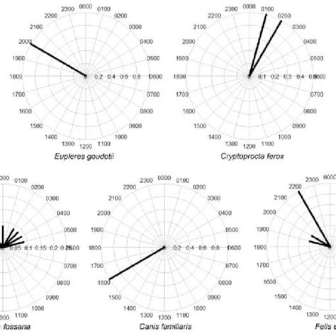 Temporal Activity Estimatespatterns For All Carnivores Captured Within
