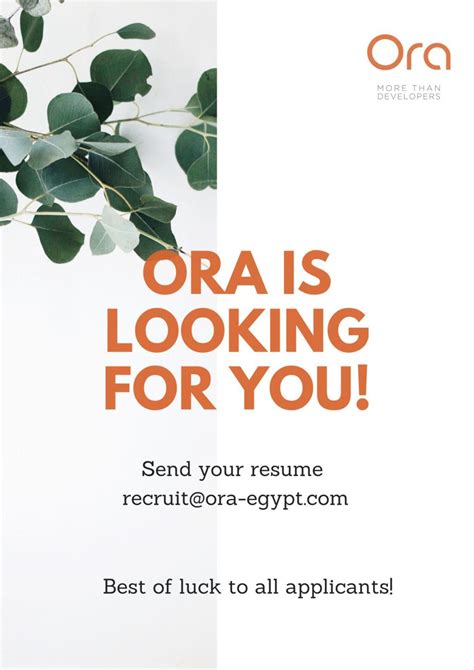 Hadeer Zaki On Linkedin Design Architecture Hiring Vacancy
