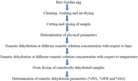 Osmotic Dehydration Of Garden Egg Solanum Aethiopicum The Shrinkage And Mass Transfer Phenomena