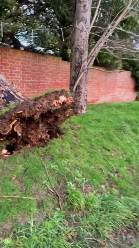 Corrie S Will Mellor Escapes Falling Tree Horror At His Home During Storm Henk Accident Daily Star