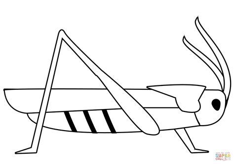 Grasshopper Coloring Page Free Printable Coloring Pages
