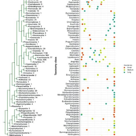 Taxonomic Distribution Of A Trimodal Disordered Linker Region A Download Scientific Diagram