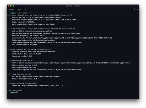 Error When Launching On IOS Devices Issue Flutter Flutter GitHub