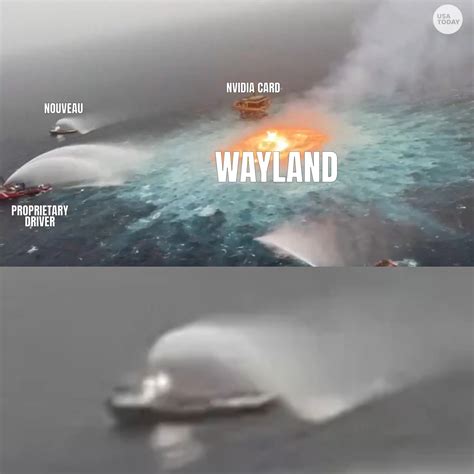 Wayland R Linuxmasterrace