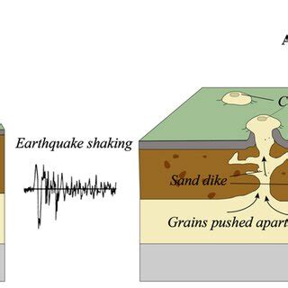 Schematic Diagram Illustrating The Conceptual Model Of Soil Download Scientific Diagram