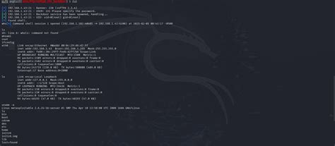 hacking vsftpd 2 3 4 a guide to exploiting without metasploit