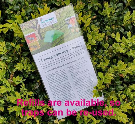 Codling Moth Trap Green Gardener