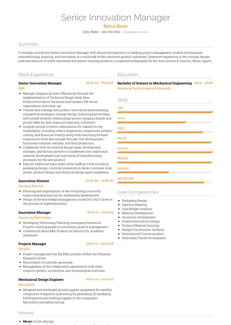 Innovation Manager Resume Samples And Templates VisualCV