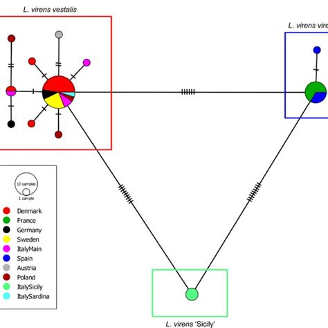 Minimum Spanning Haplotype Network Based On The 550 Bp Coi Dataset The