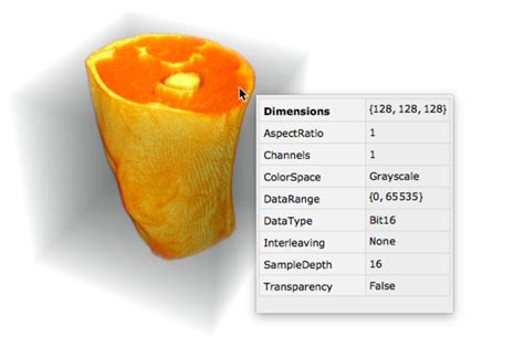 ImageInspector Wolfram Function Repository