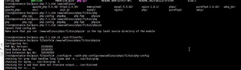 Nginx开启fileinfo扩展 Php钗 博客园