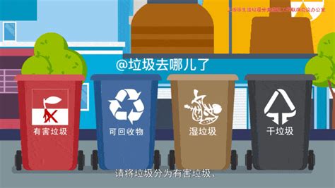 垃圾分类进行时，美丽浦东在行动，潍坊人，今天，你垃圾分类了吗？ 环境