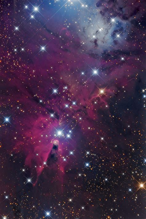 Cone Nebula Ngc 2264