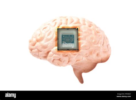 Computer Processor Vs Human Brain At Eden Disney Blog