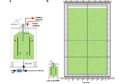 Sketches Of Lab Scale 10 À3 M 3 Pbr Pbr1 A And 0 130 M 3 Pbr Used To Download Scientific
