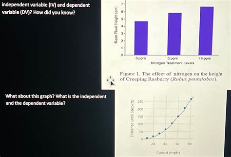 Solved Independent Variable IV And Dependent Variable Chegg Com