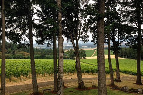 6 Wonderful Willamette Valley Wine Tours Not To Miss