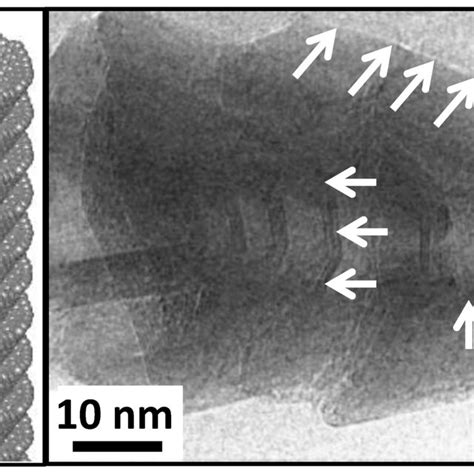 A An Ideal Representative Stacked Cup Or Cup In Cup Structure Of A