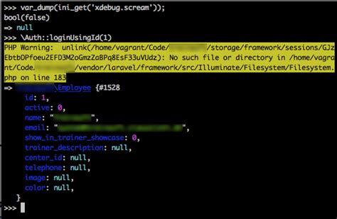 Warning Unlinking Non Existent Session File In Tinker · Issue 22514 · Laravelframework · Github