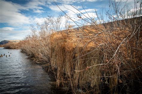 Field Equipment Momarsh Inc