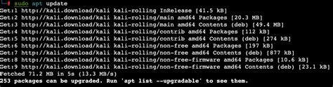 how to update kali linux upgrading packages to the latest version