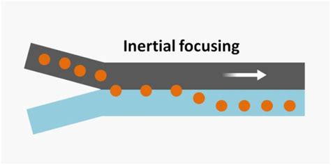 Passive Microfluidic Cell Sorters As A Tool For Effective Cell Sorting