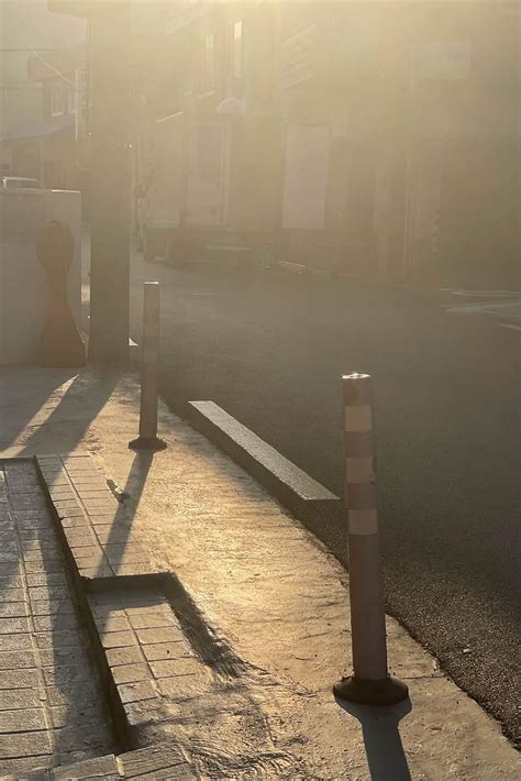 모퉁이를 돌자 바닥에 쏟아지는 황금 빛 영혼이 어린 책과 글