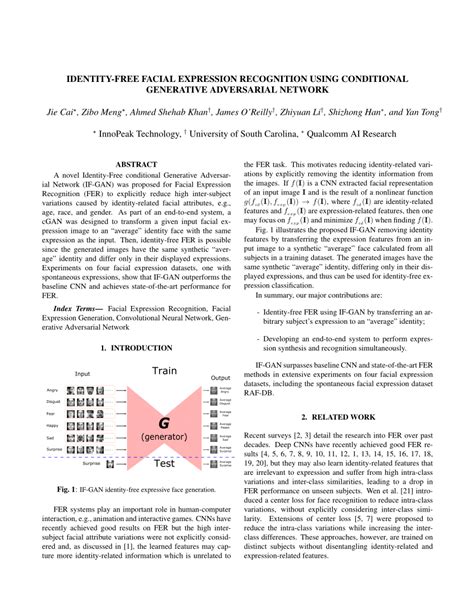 Pdf Identity Free Facial Expression Recognition Using Conditional