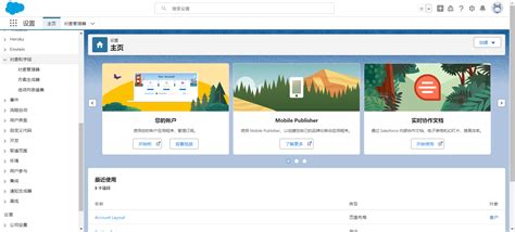 Salesforce Crm系统有佬了解吗？ 开发调优 Linux Do
