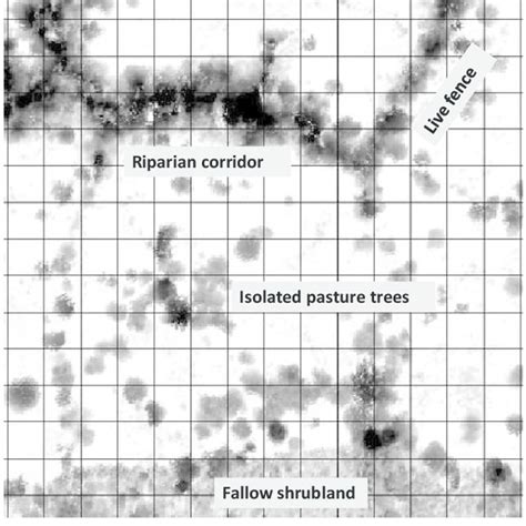 Map Of Predicted Versus Observed Tree Canopy Cover And Tree Height For