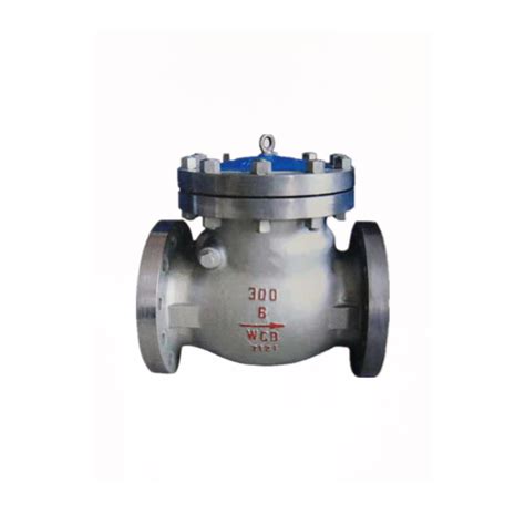 Ansi Api Check Valve