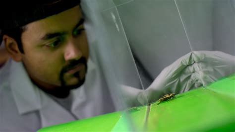 Bioengineering Ms Temple University