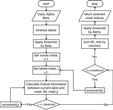 flowchart of voxel scoring algorithm by mutual information download